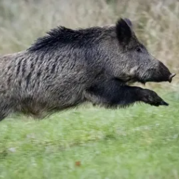 jelch — все посты пользователя по времени