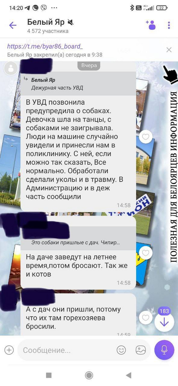 Стая собак напала на ребёнка в Сургутском районе: девочка в больнице - 10.11.24 13:39 | Пикабу