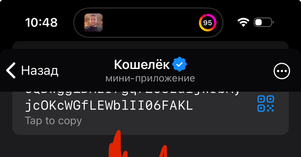 Запущена криптовалюта PIDOR - 06.12.24 17:31 | Пикабу