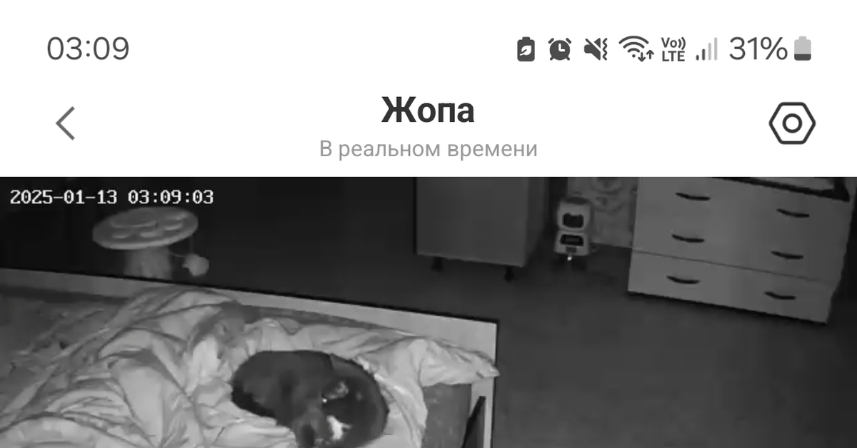 Удачное название камеры | Пикабу