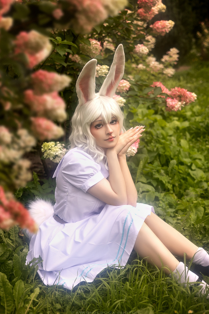 Haru Beastars Cosplay