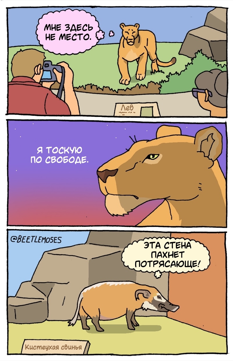 Двойственность зоопарка | Пикабу