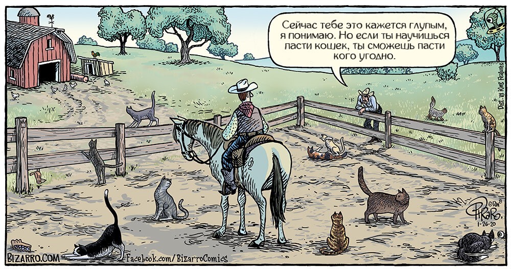 Catboy | Пикабу