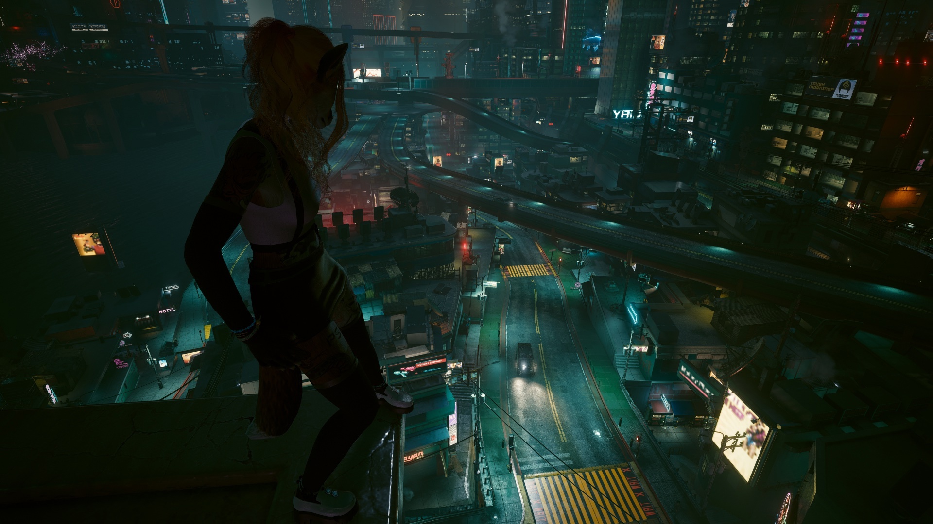 Фурри в Cyberpunk 2077 #21 Foxy V "Biosculpted Exotics Mod ...