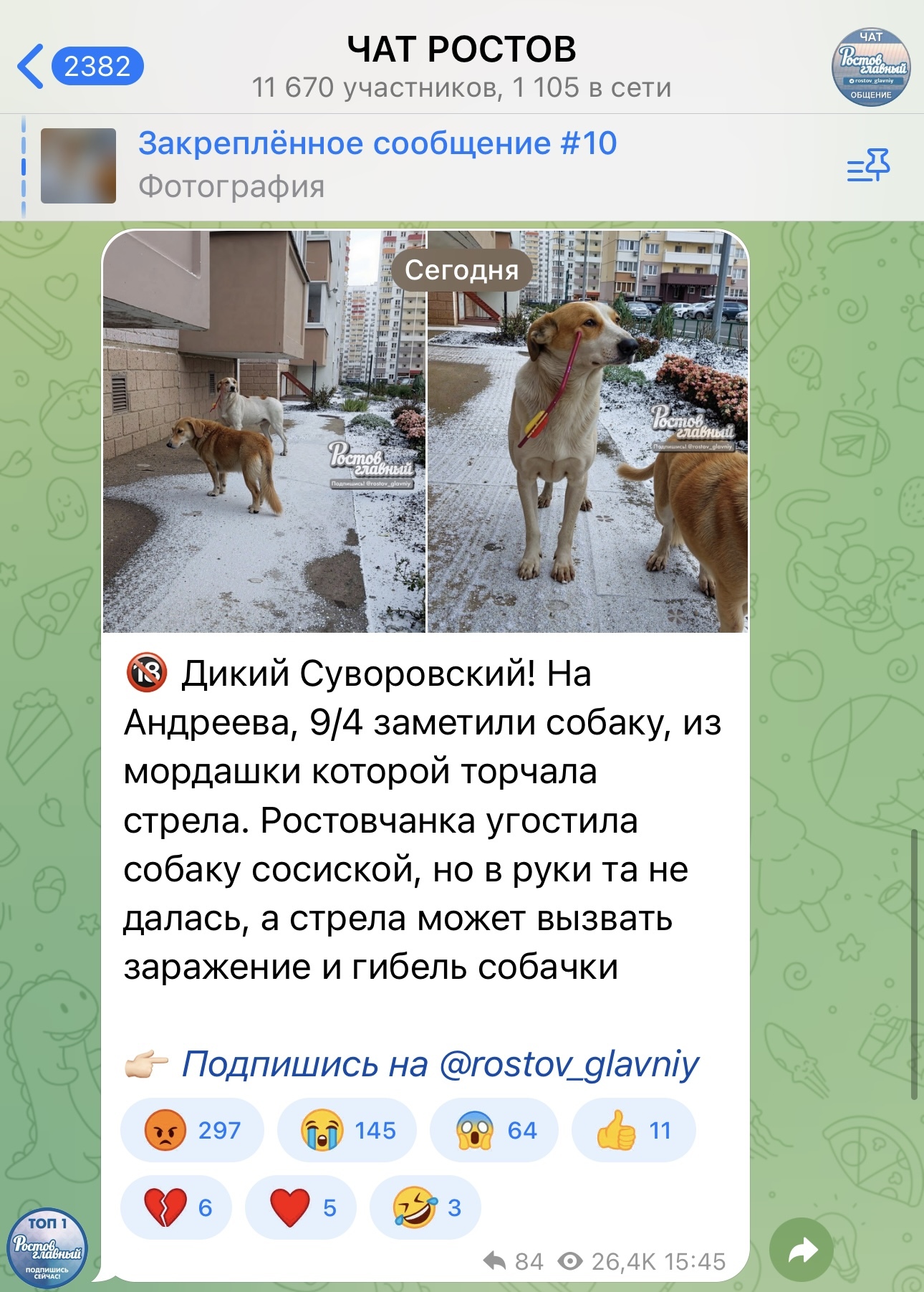 Как зоозащитники клепают фейки | Пикабу