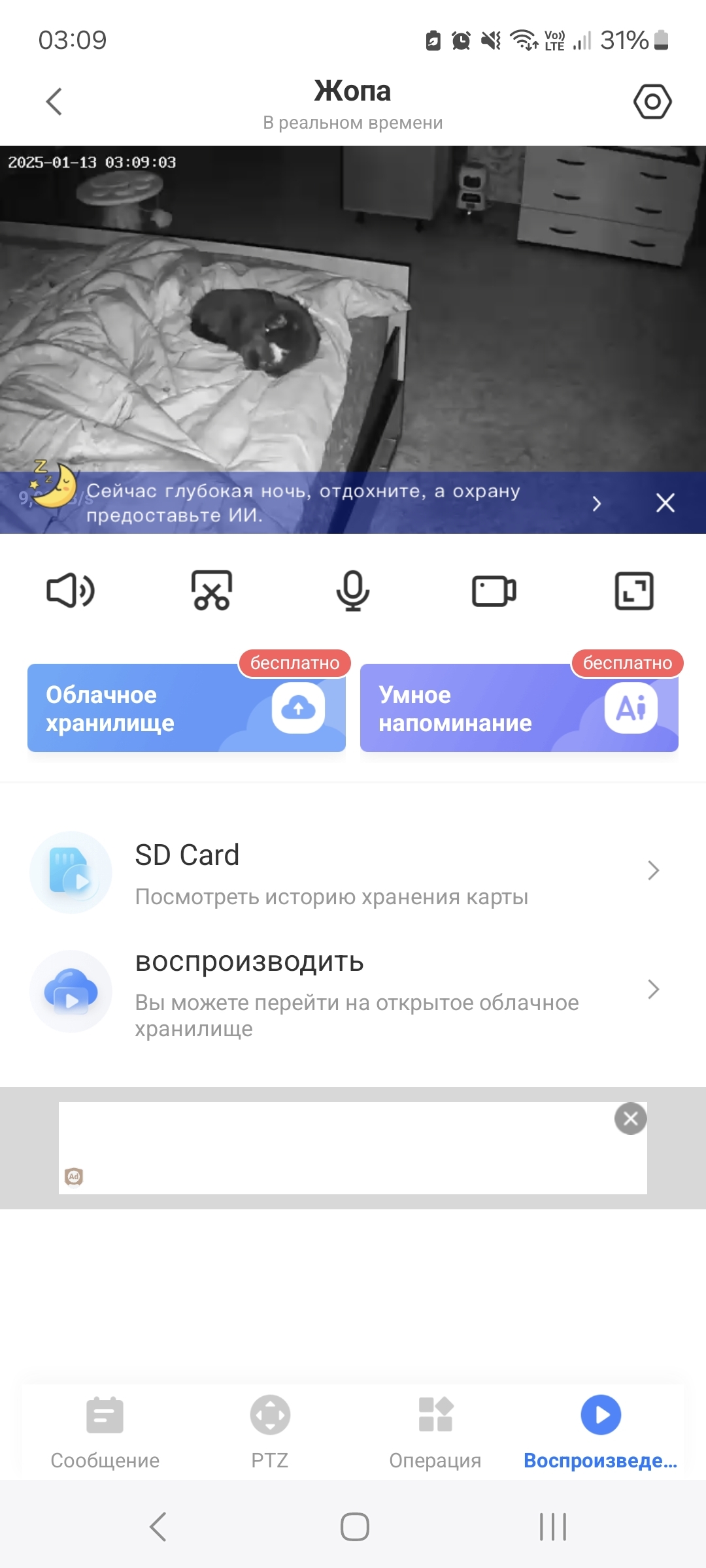 Удачное название камеры | Пикабу