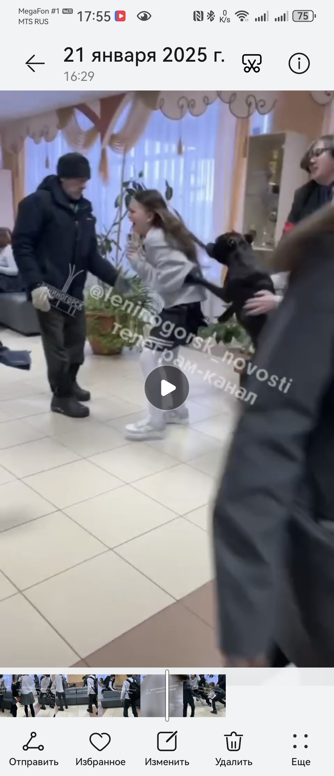 Агрессивная собака ворвалась в 7-ю школу Лениногорска(Татарстан)! | Пикабу