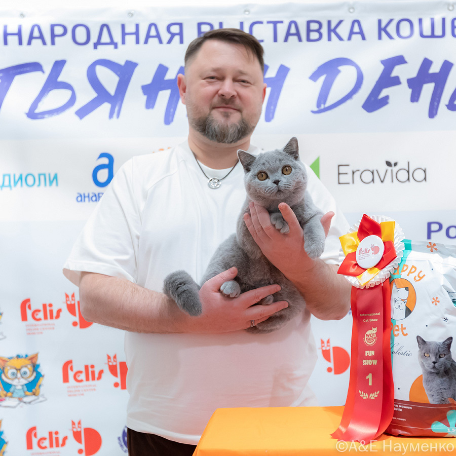Выставка породистых кошек Пикабу