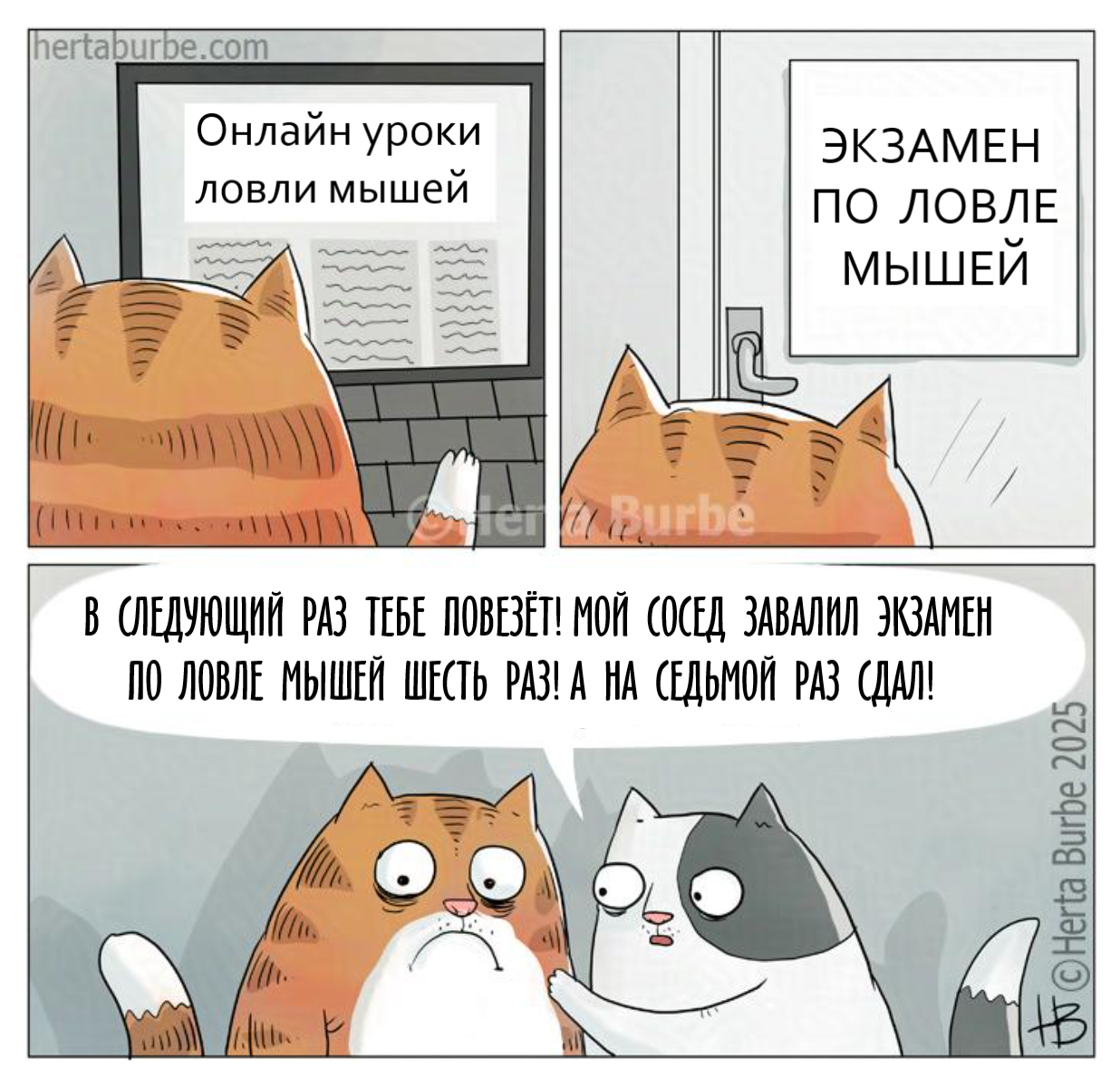 Экзамен | Пикабу