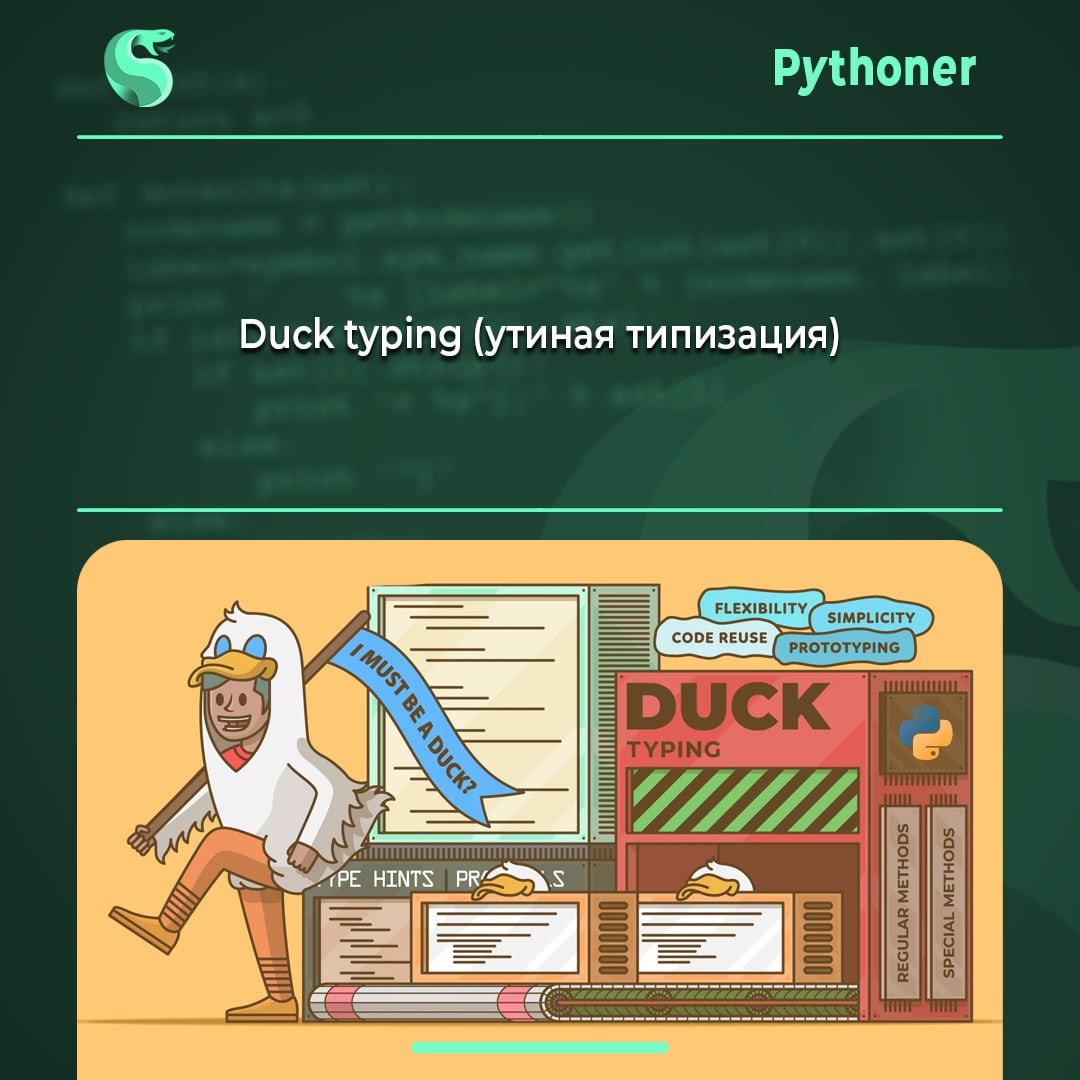 Duck typing в python | Пикабу